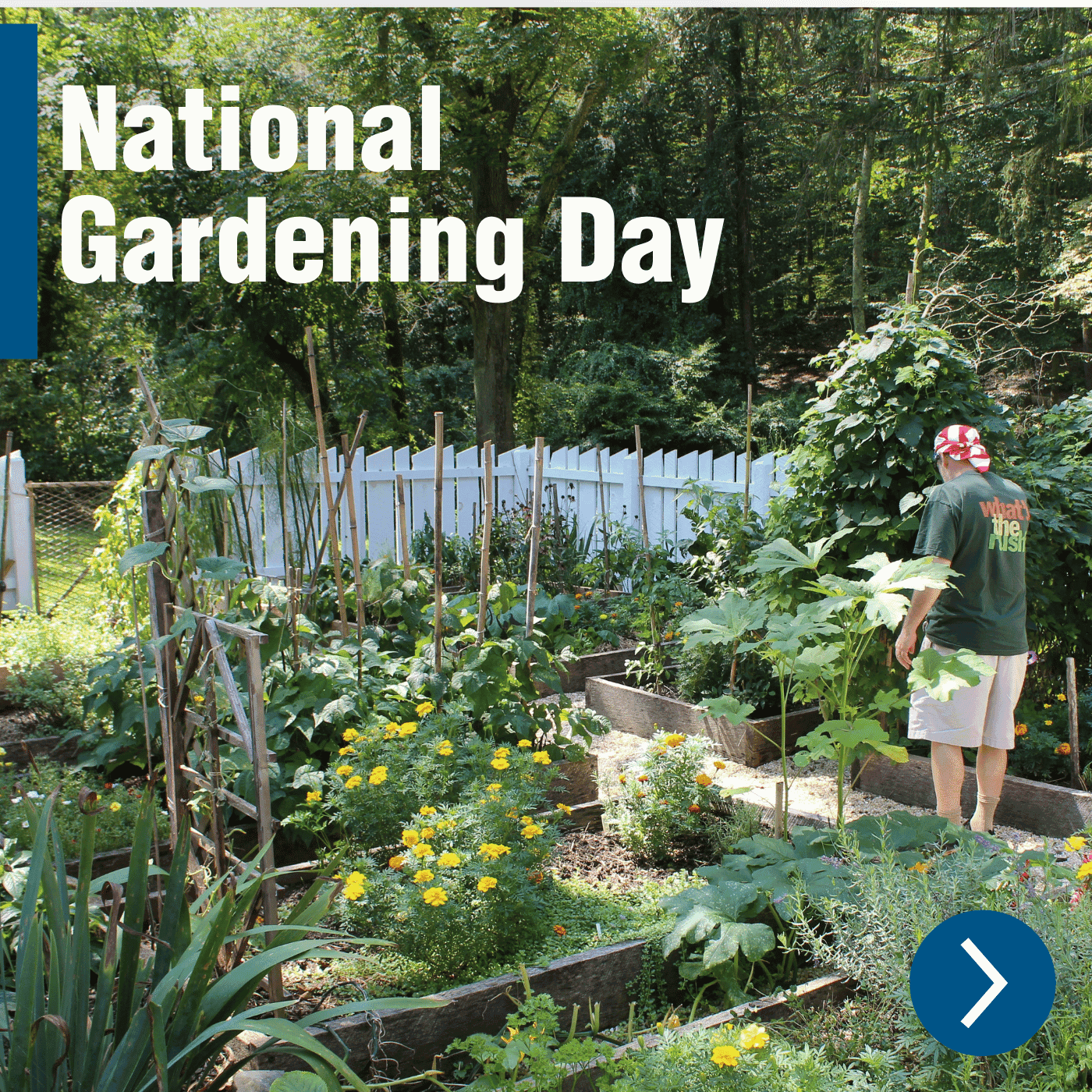 Celebrate National Gardening Day with Hyundai Garden Tools – April ...
