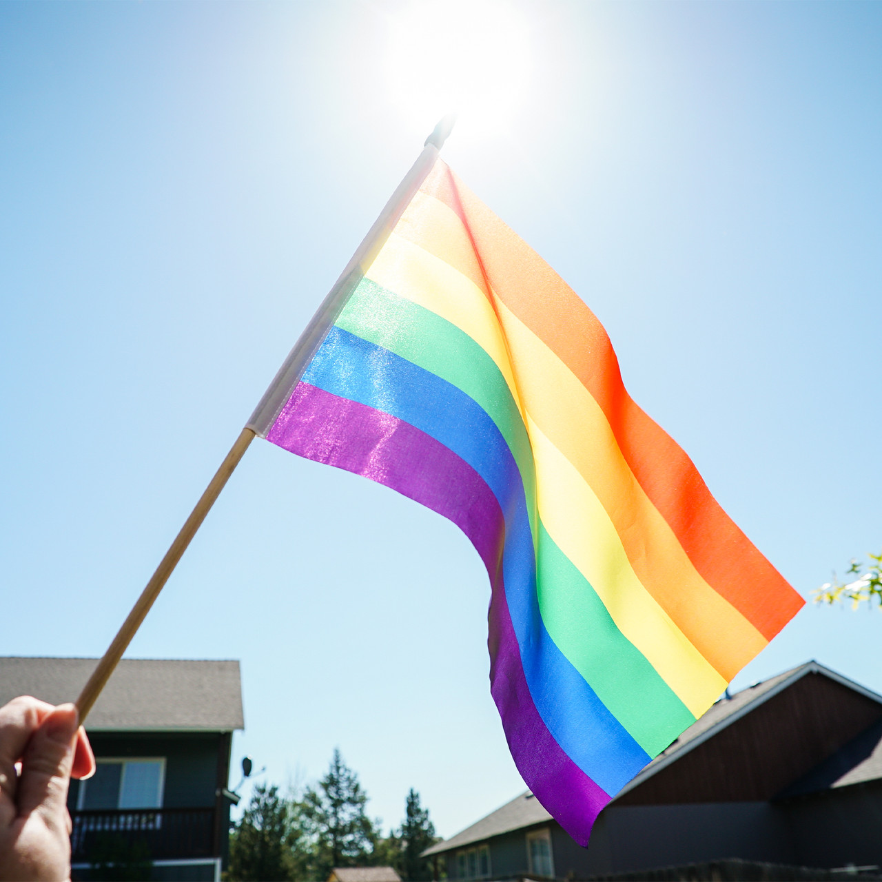 Printed Rainbow 12x18 Hand-Held Flag (12 PC) - Kite Garden
