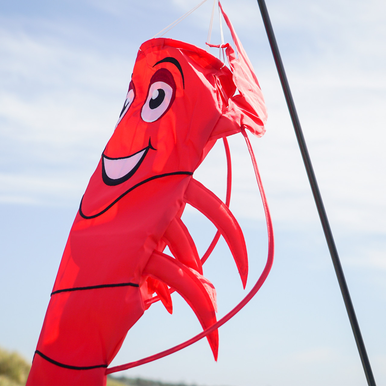 Lobster 3D Windsock - Kite Garden