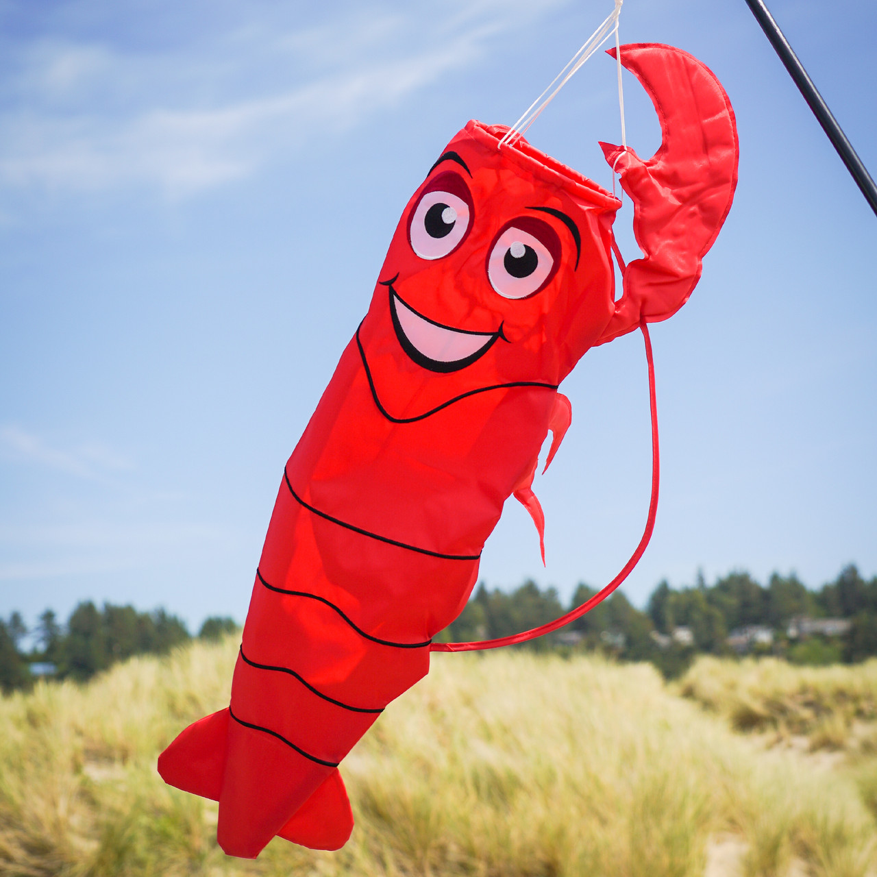Lobster 3D Windsock - Kite Garden