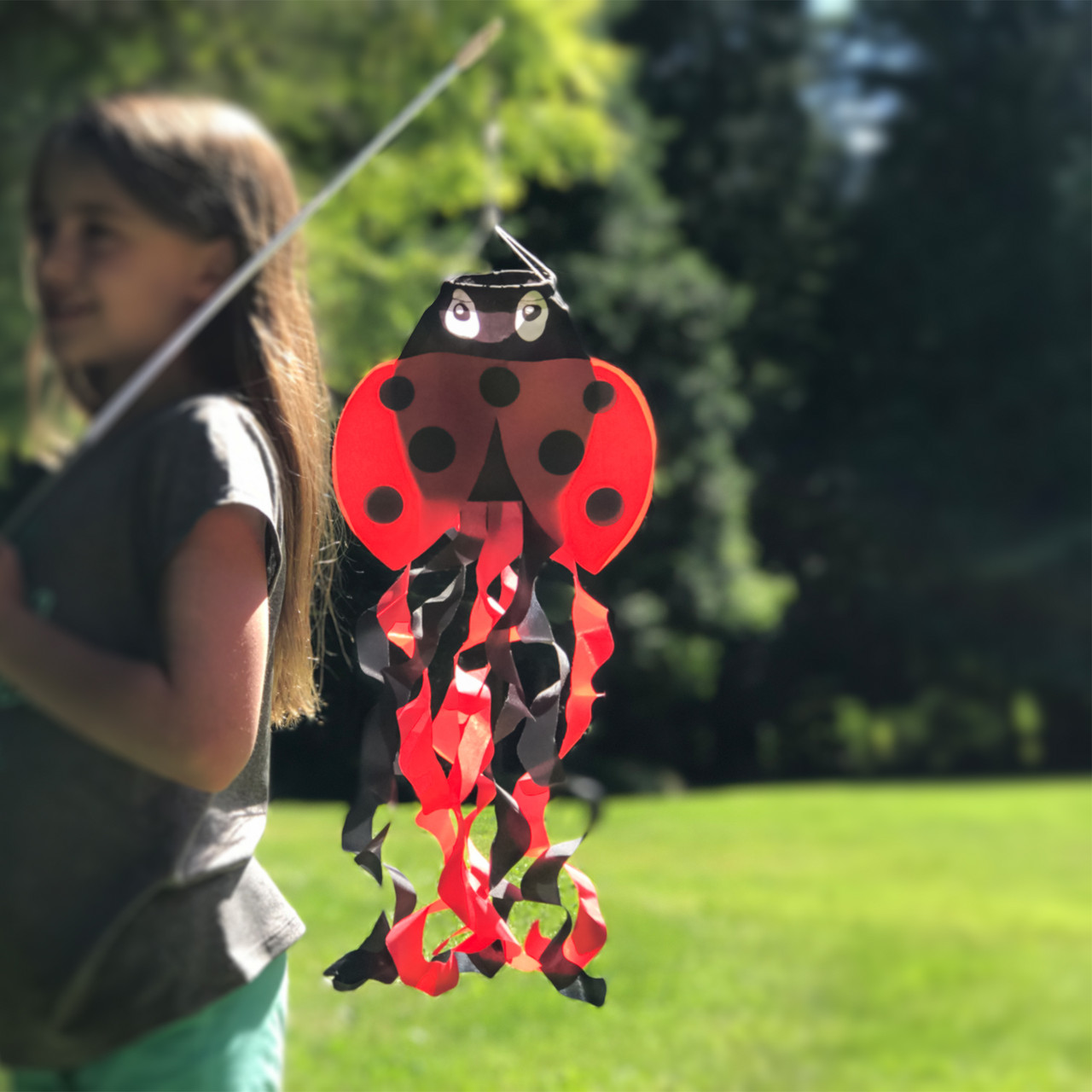 Ladybug Windsock on Wand - Kite Garden