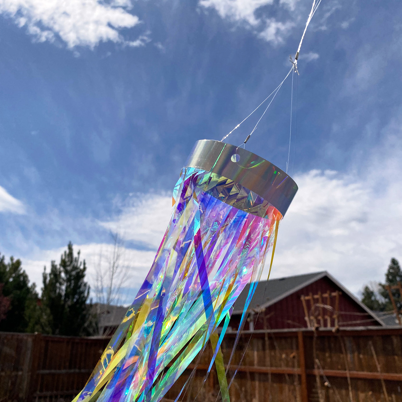 Iridescent Holographic Windsock