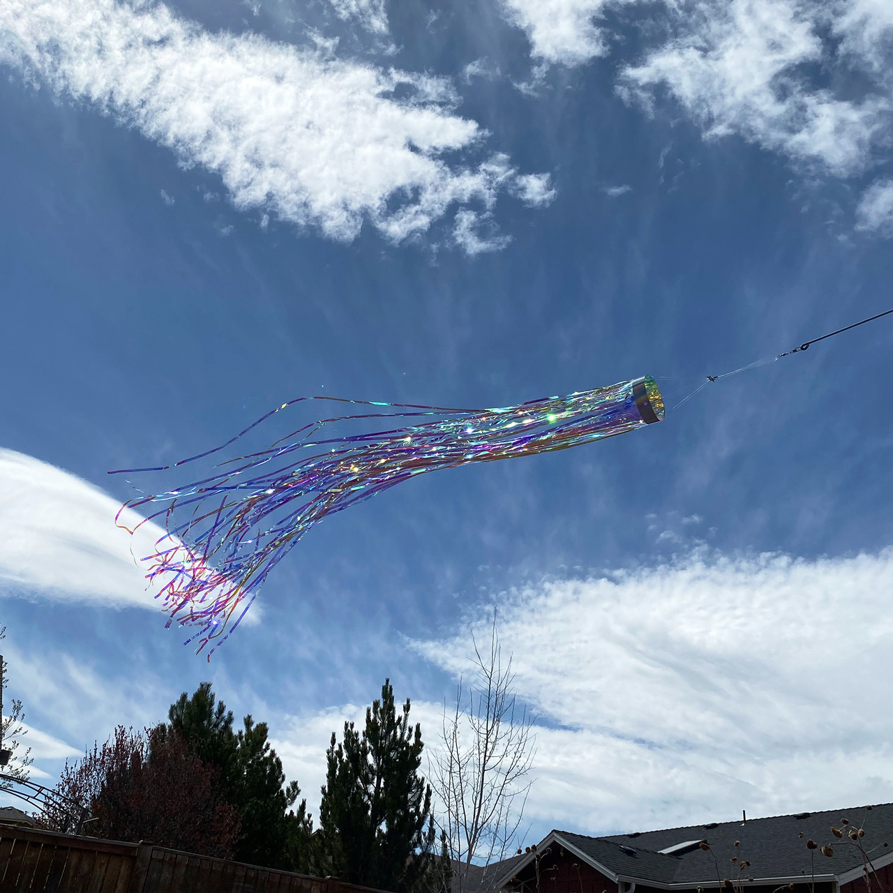 Iridescent Holographic Windsock
