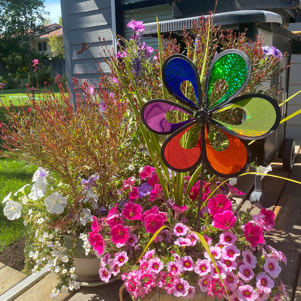 10" Rainbow Mylar Windee Wheelz Spinner