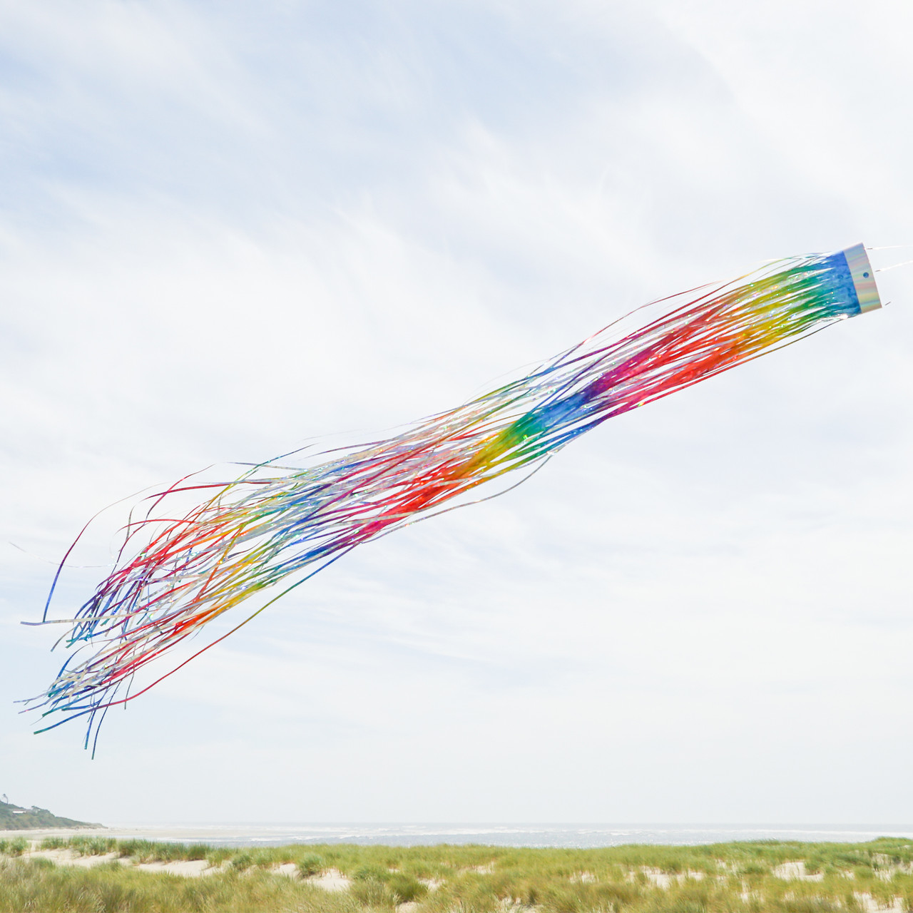 Rainbow 51-inch Mylar Windsock - Kite Garden