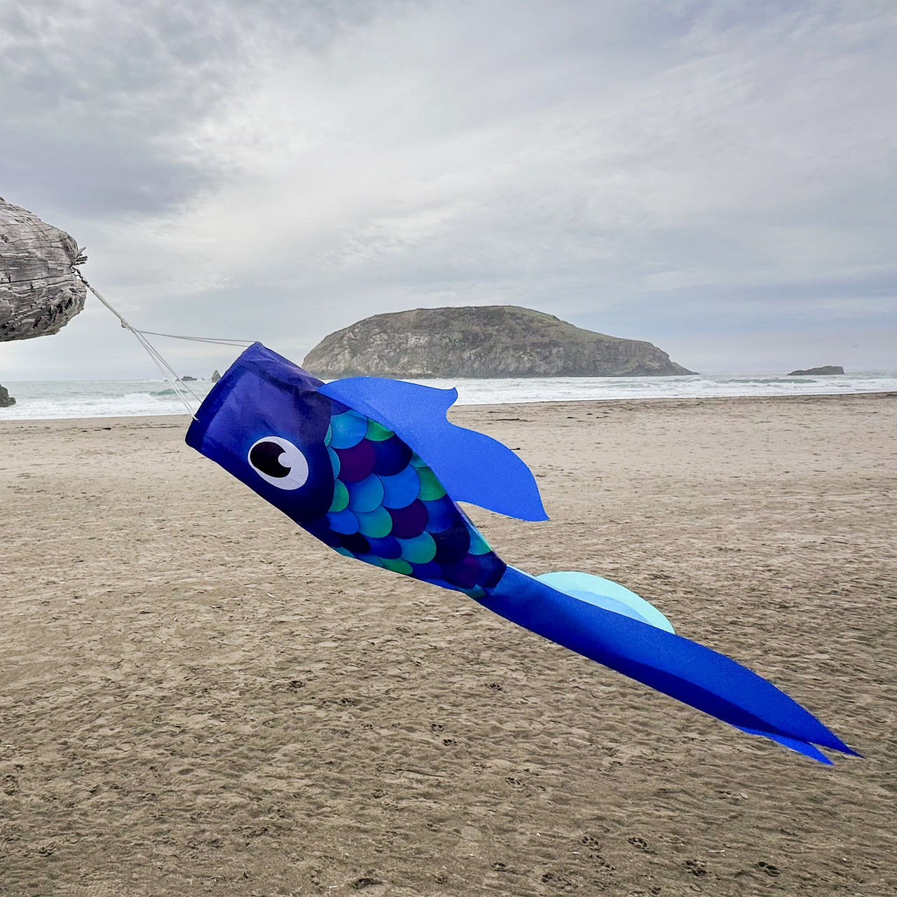 30-inch Cool Damsel Fish Windsock | Colorful Garden Decor