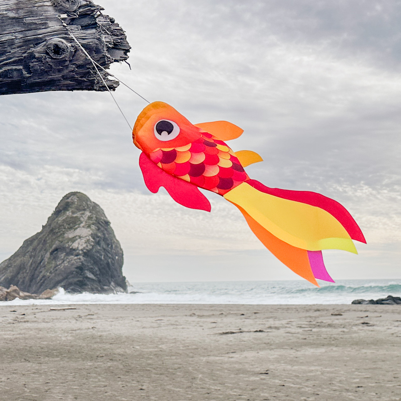 15-inch Hot Damsel Fish Windsock | Colorful Garden Decor