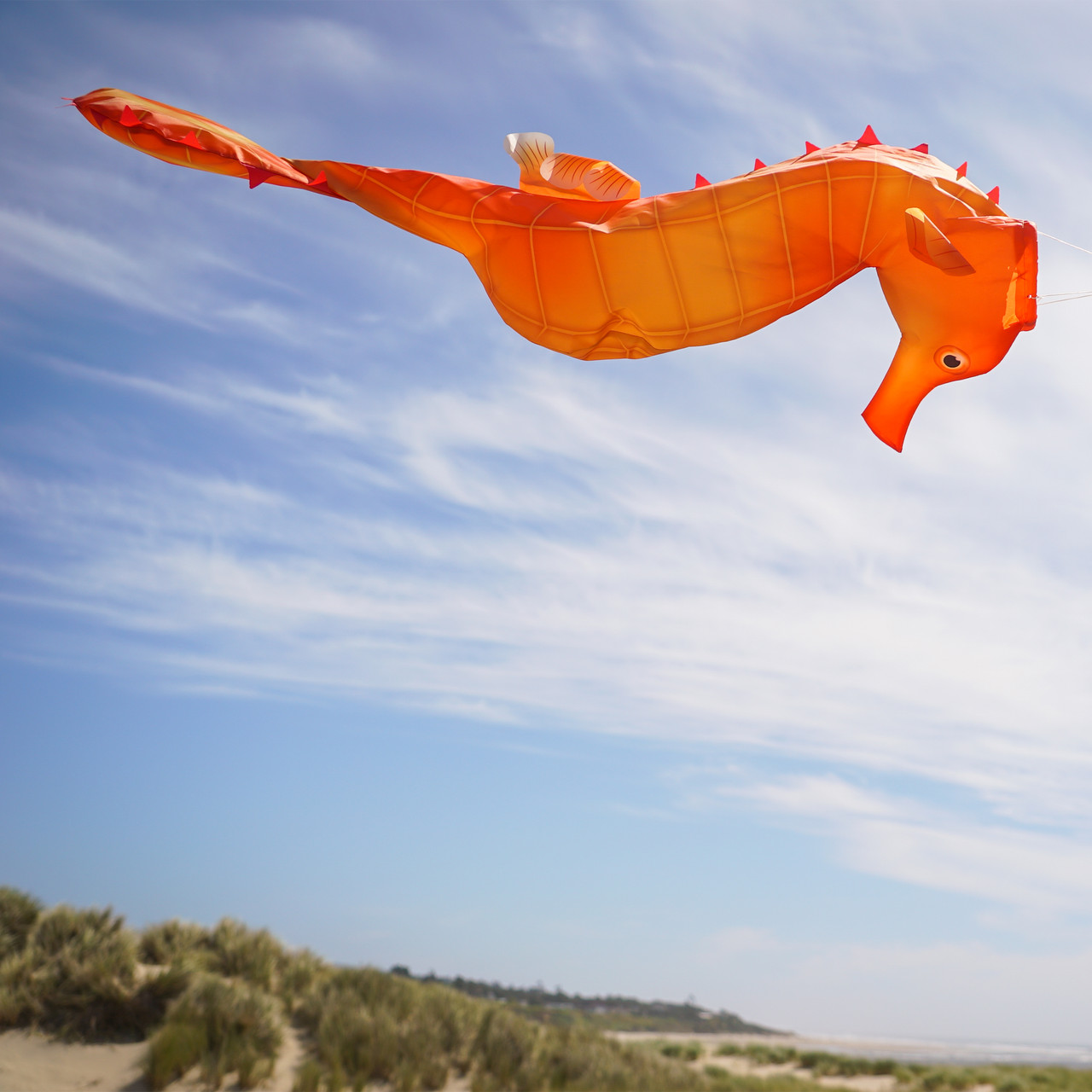 40-inch Seahorse 3D Windsock | Colorful Garden Decor