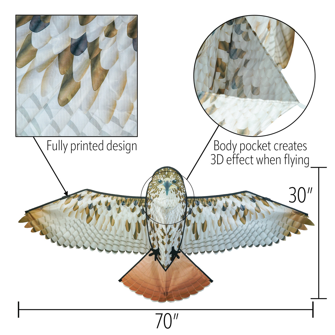 70-inch Red-Tailed Hawk Kite - Kite Garden