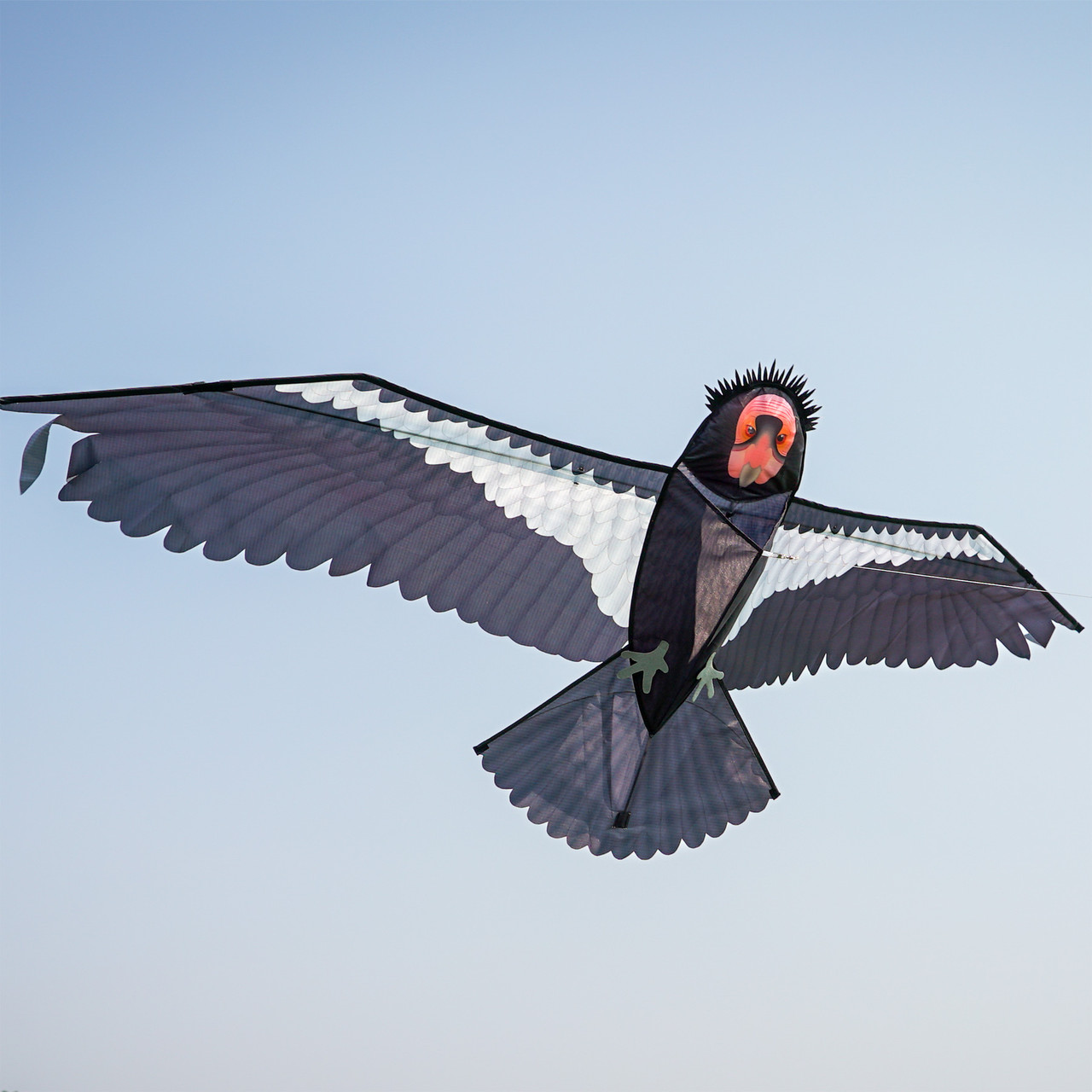 84" California Condor Kite - Kite Garden