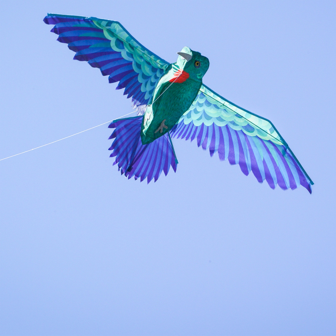 3D Hummingbird Kite - Kite Garden