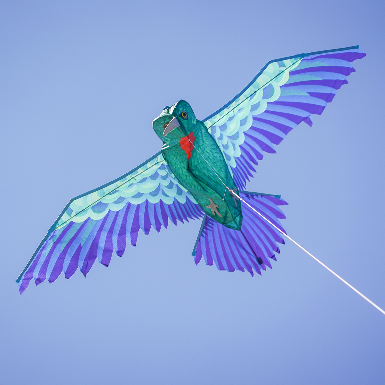 3D Hummingbird Kite - Kite Garden