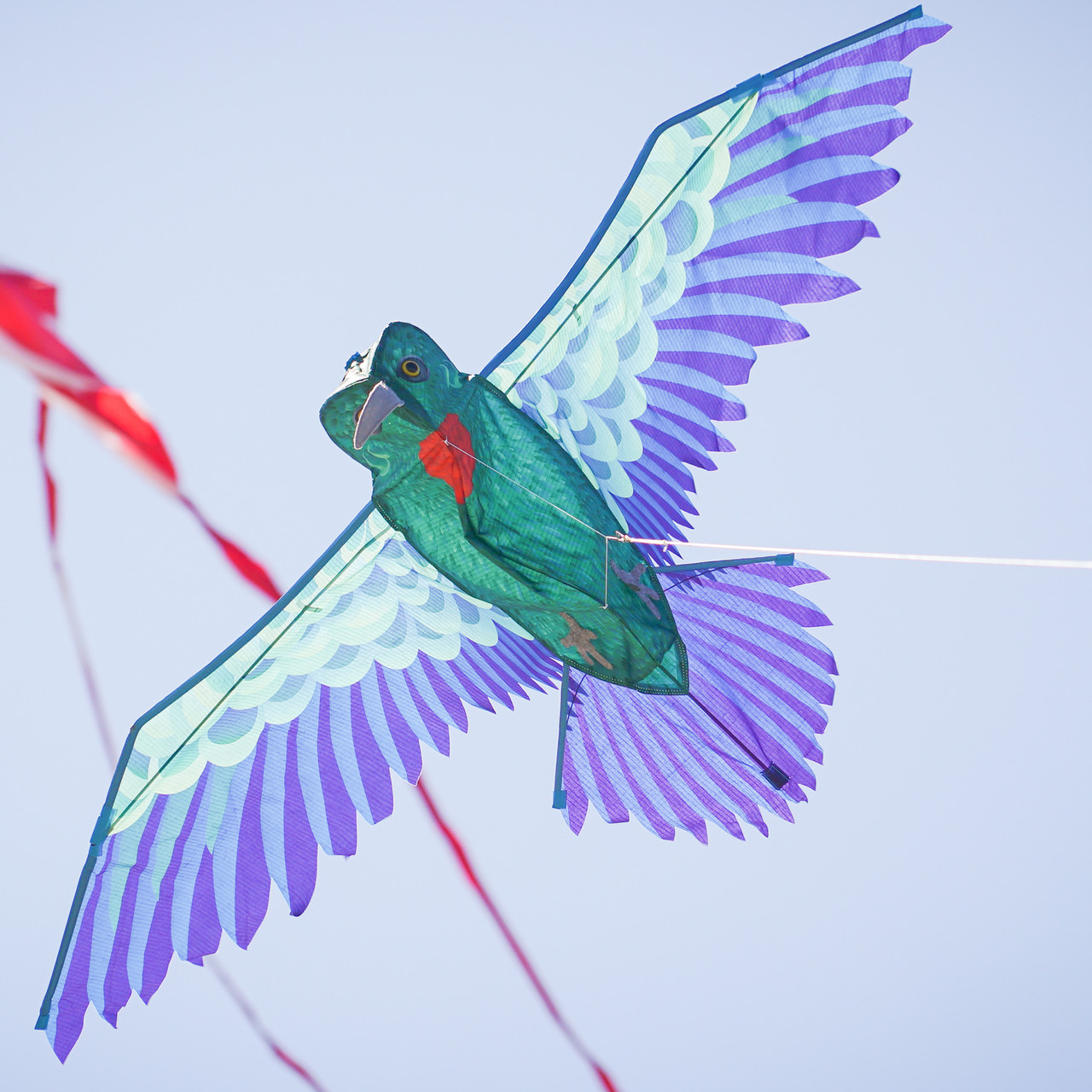 3D Hummingbird Kite - Kite Garden