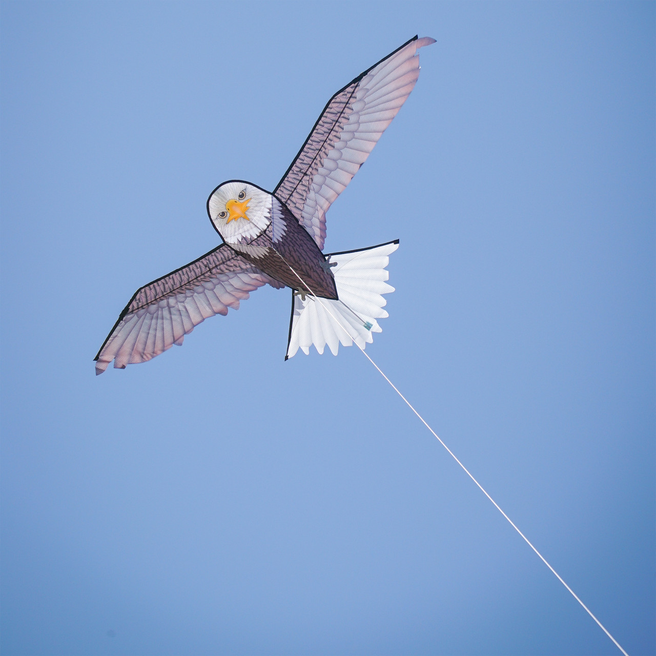 70-inch Bald Eagle Kite - Kite Garden