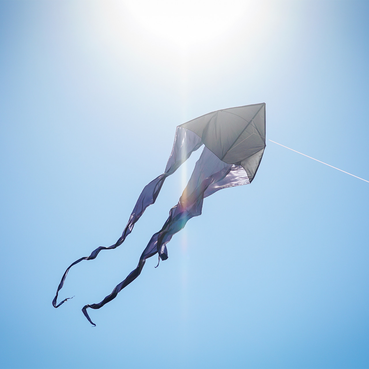 Black 77-inch Wave Delta Kite