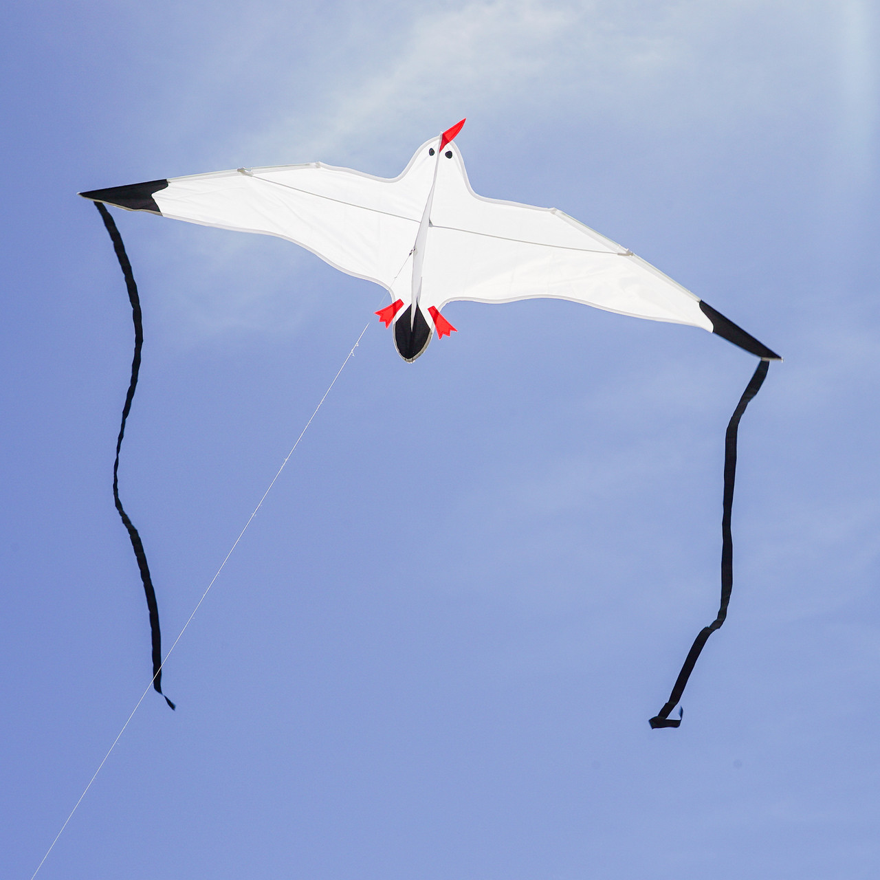 Seagull Kite - Kite Garden