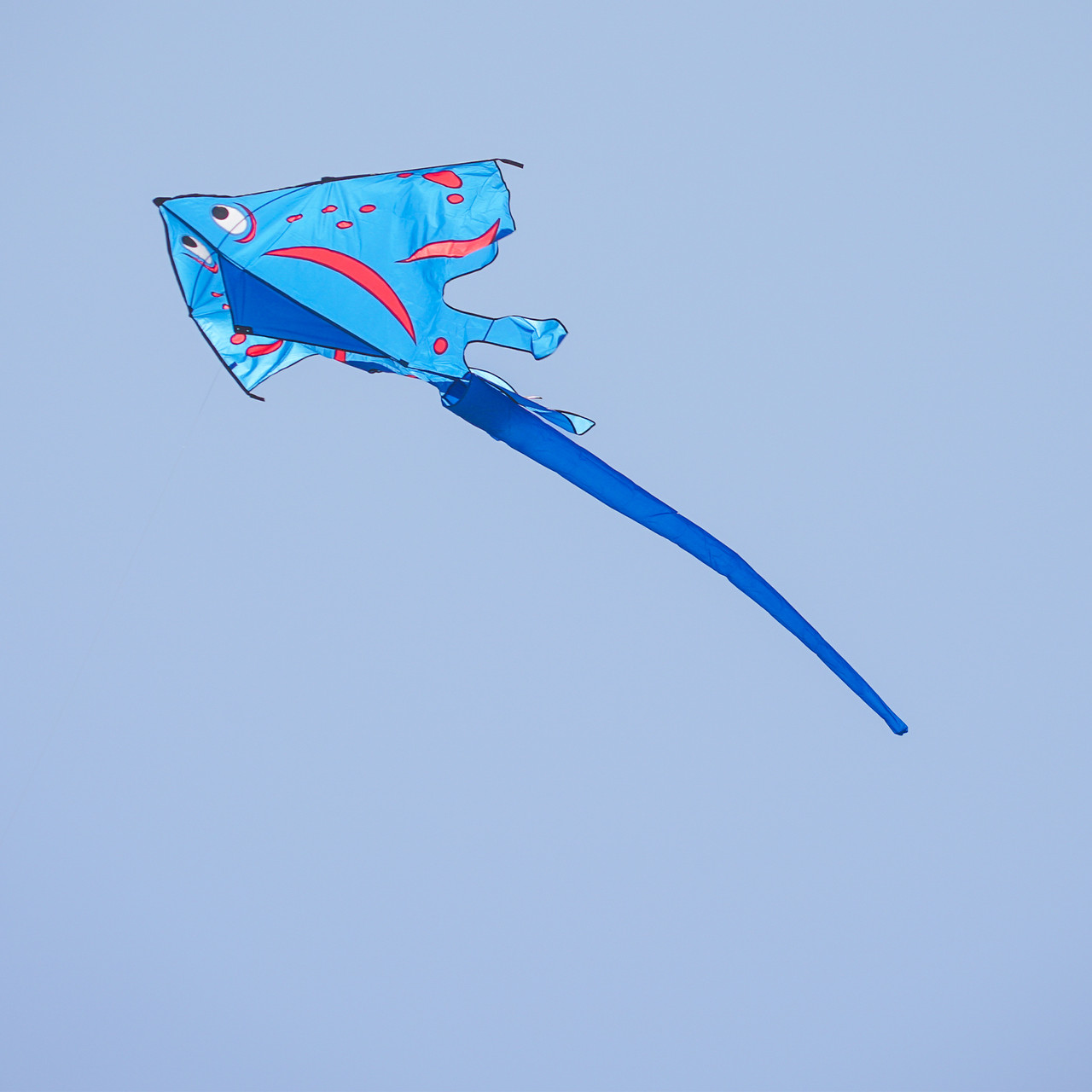 Blue Stingray Kite - Kite Garden