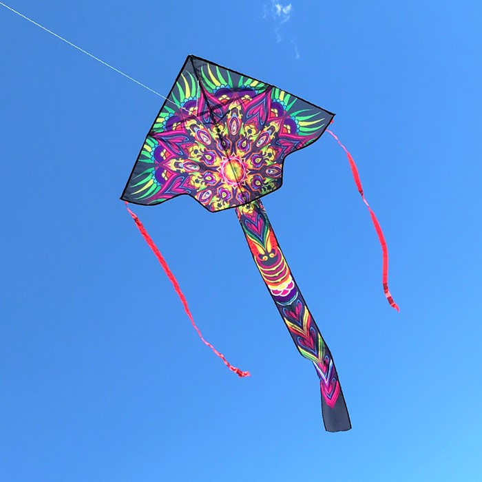 Mandala 45-inch Fly-Hi Kite - Kite Garden
