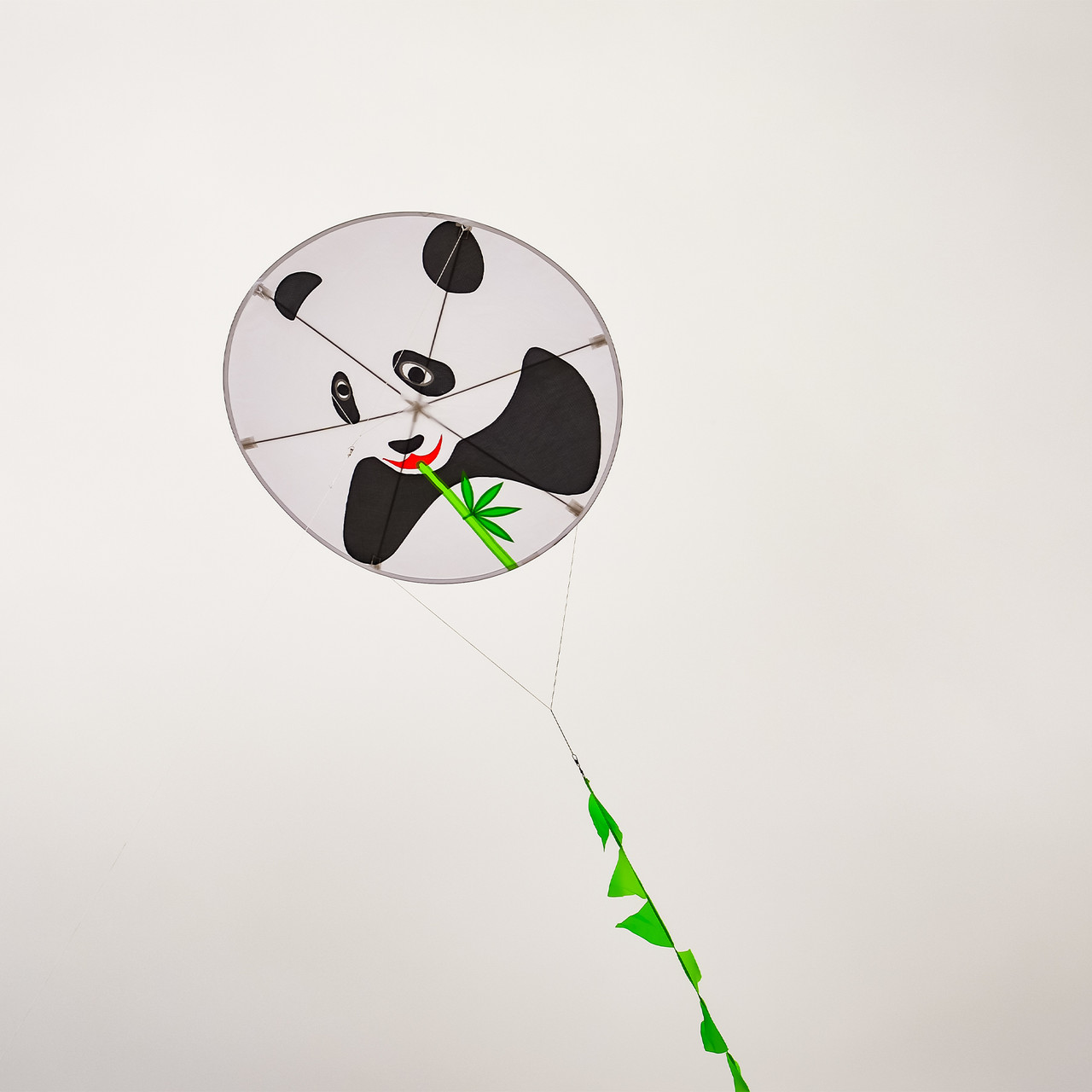 Panda Round Kite - Kite Garden
