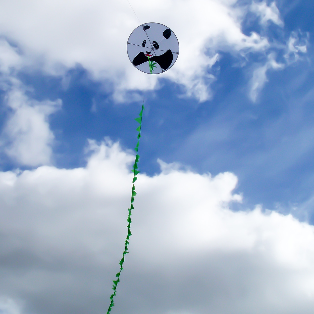 Panda Round Kite - Kite Garden