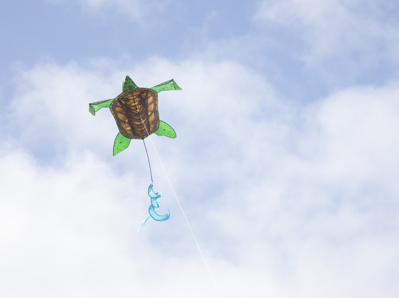 Realistic Sea Turtle Kite - Kite Garden