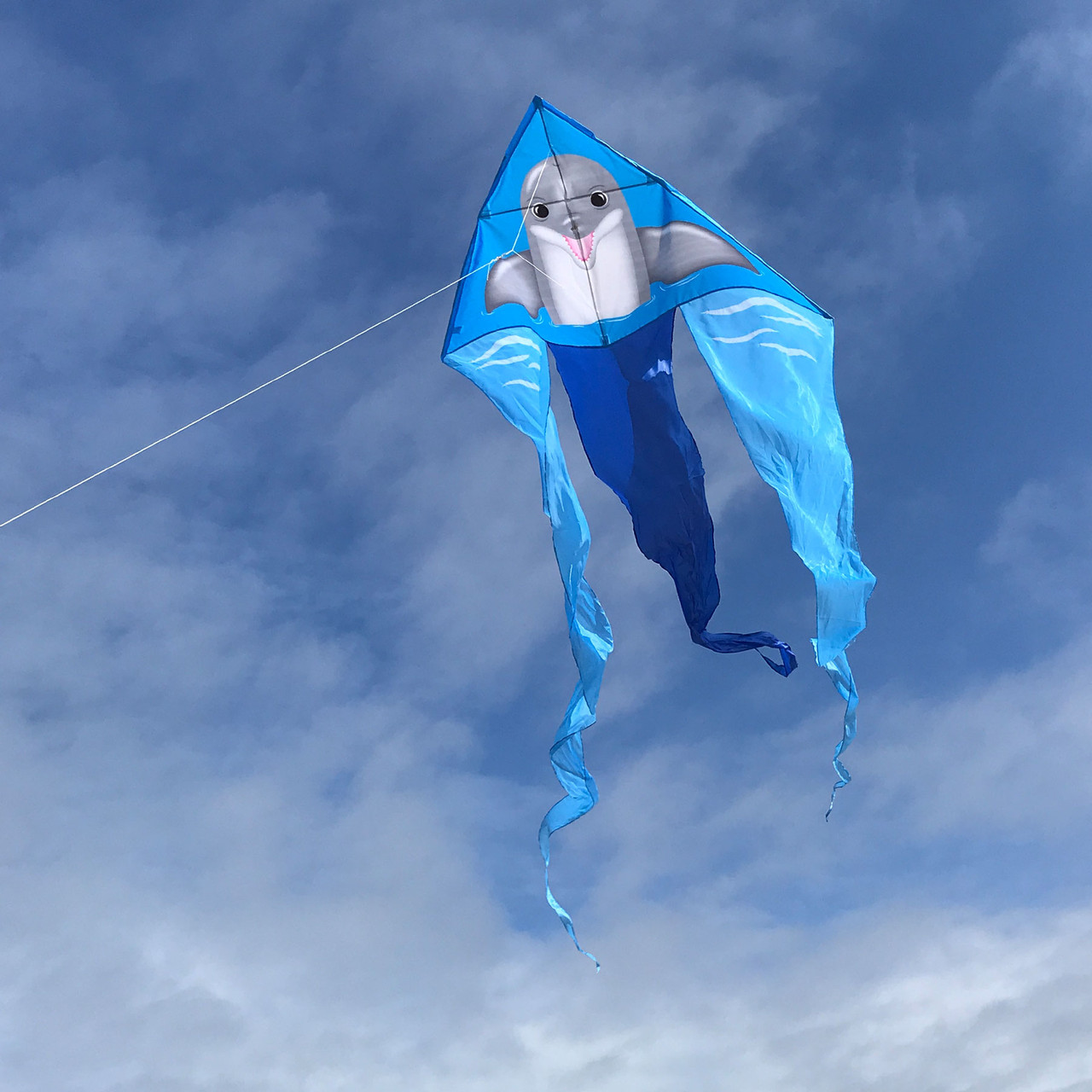 Dolphin 52-inch Wave Delta Kite - Kite Garden
