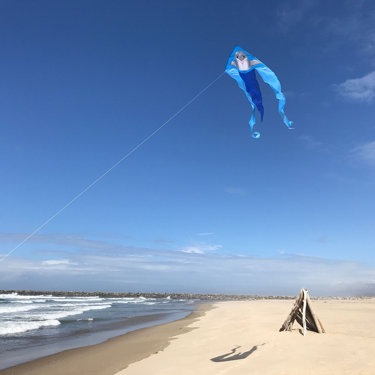 Dolphin 52-inch Wave Delta Kite - Kite Garden