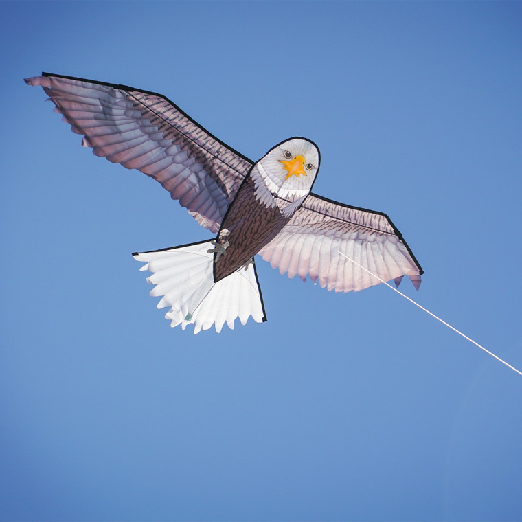 70-inch Bald Eagle Kite - Kite Garden