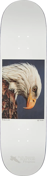 Zero Burleigh Hess Nature Bald Eagle Skateboard Deck-8.5 Wht ...