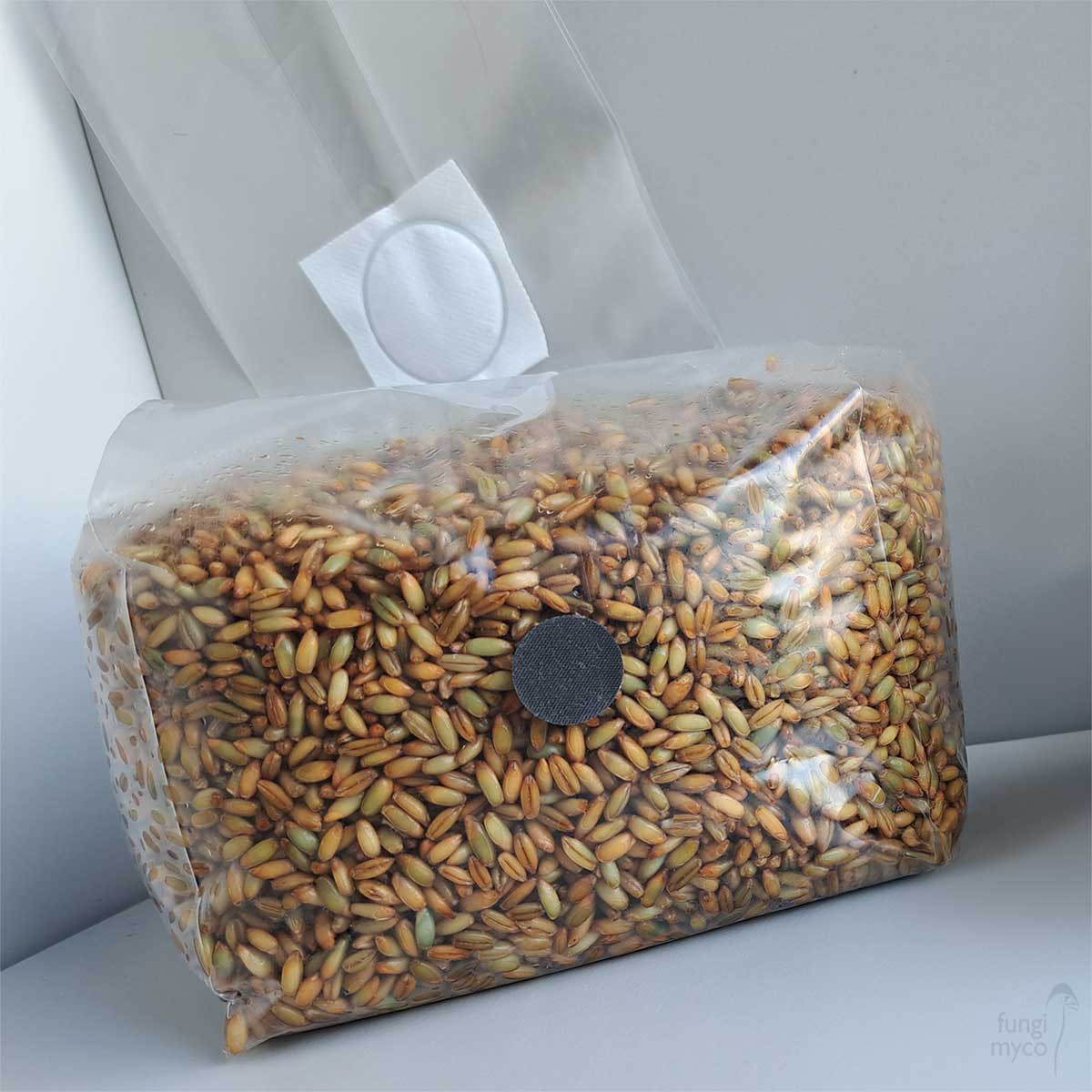 Rye Grain & Coir Bundle - Fungi Myco