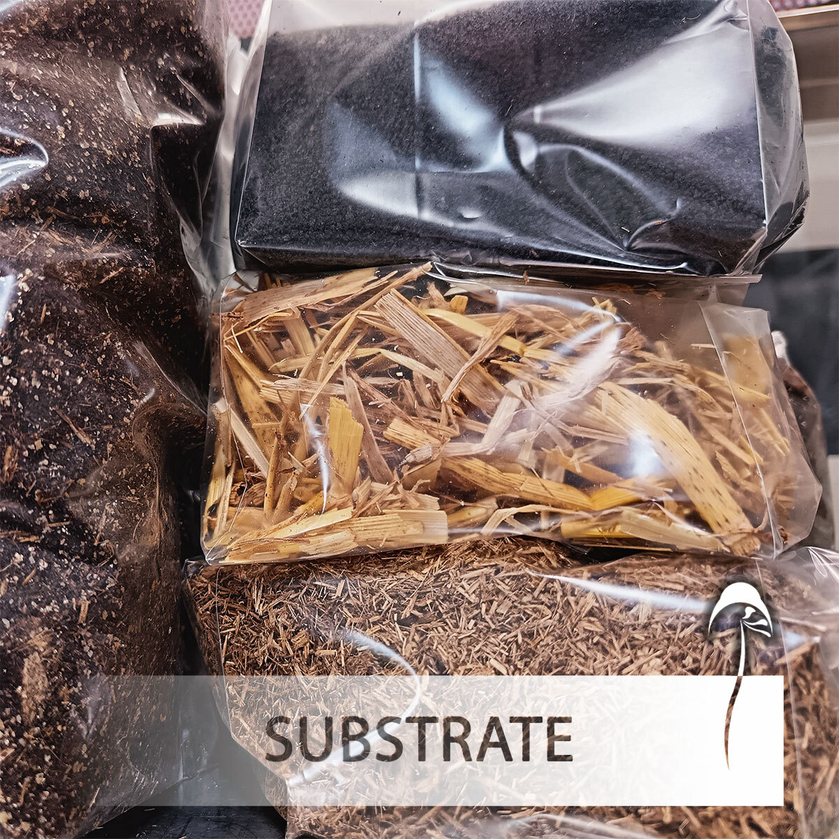 Mushroom Grain Spawn & Substrates to buy - Fungi Myco
