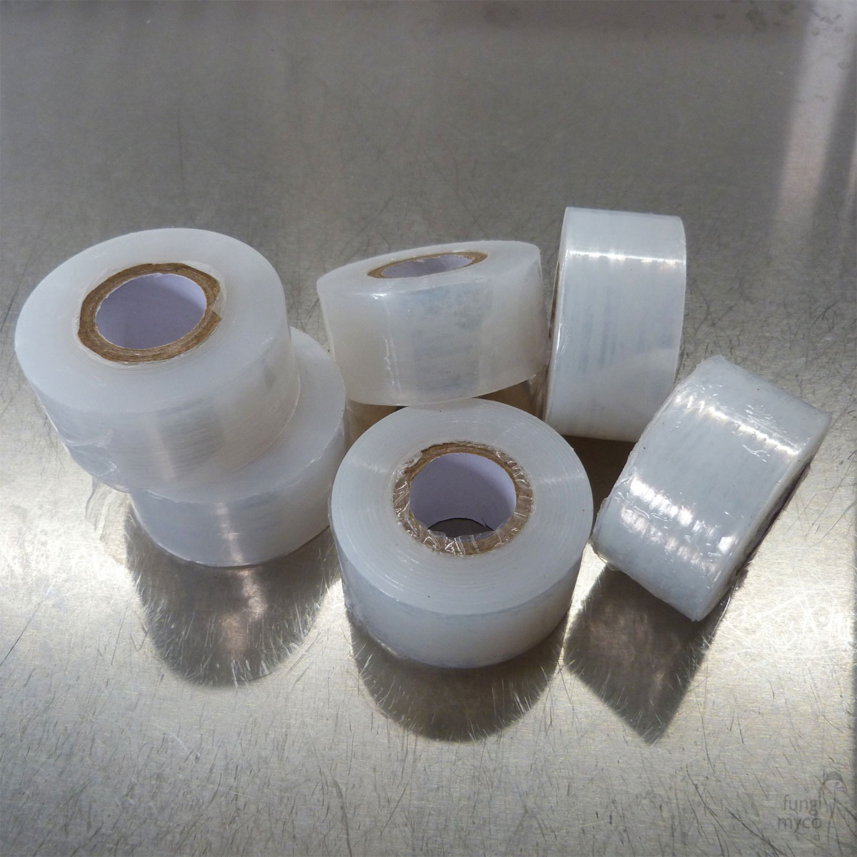 Grafting Tape - Fungi Myco