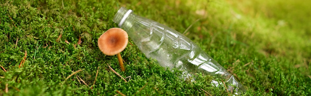 Mycelium vs Plastic: How Fungi Could Help Solve the Plastic Problem ...