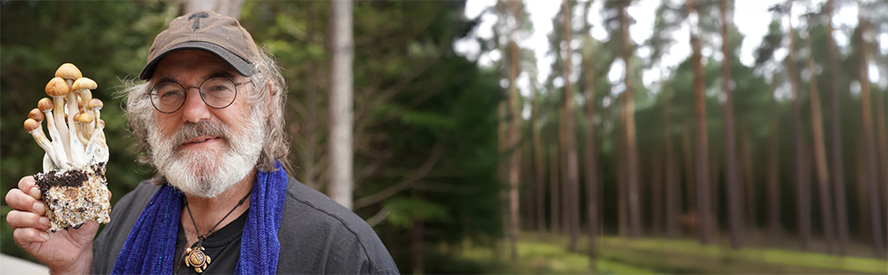 Paul Stamets: An inspirational advocate for Mushroom Research ...