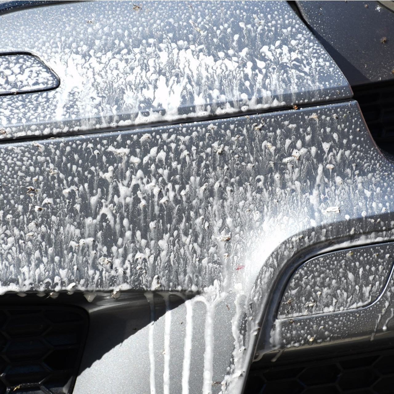 Bug & Dirt Shifter Sponges x 3