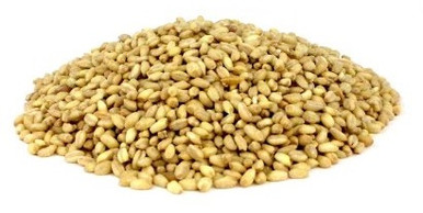 Shelled Wheat (1lb) - Stamoolis Brothers Co.