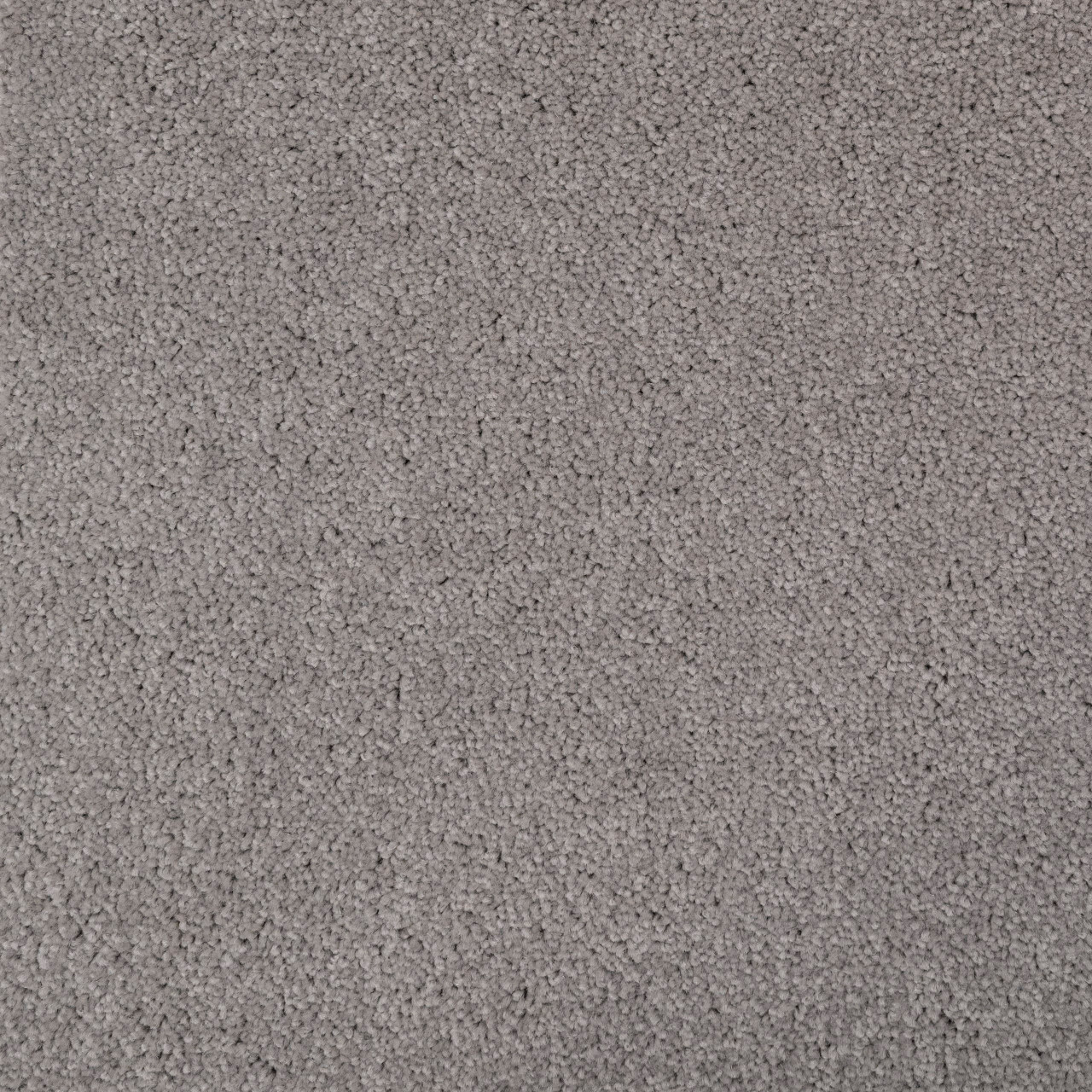 Penthouse Synthetic Carpets Performance