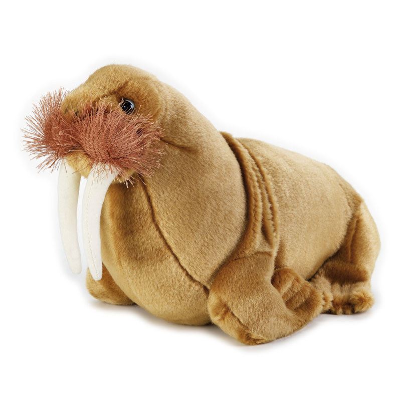 National Geographic Walrus Baby