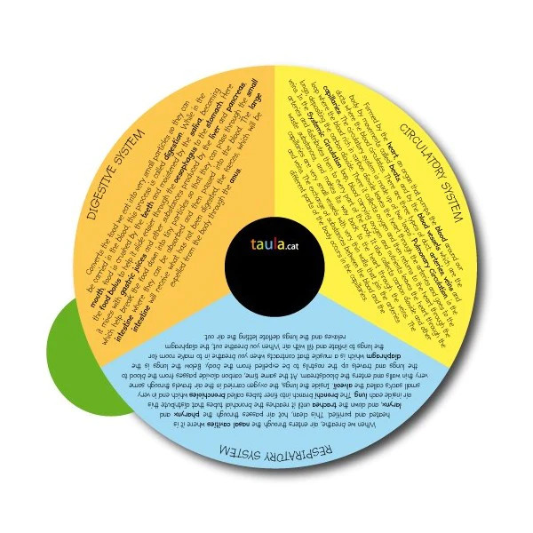 Human Body Systems Wheel Learn Abour Digestive, Circulatory and ...