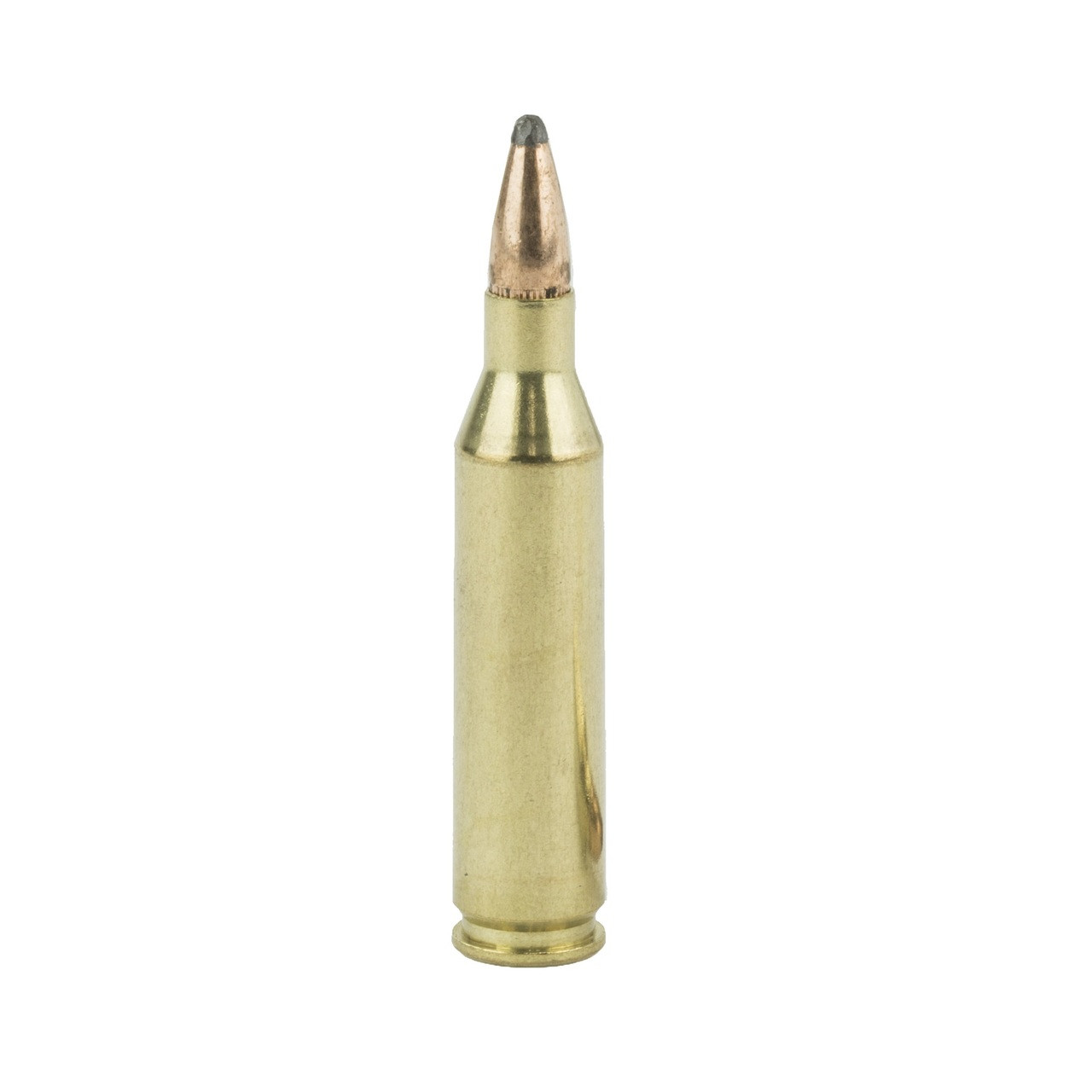 Federal Non-Typical .243 Winchester 100gr Soft Point 20/Box - MUNITIONS ...