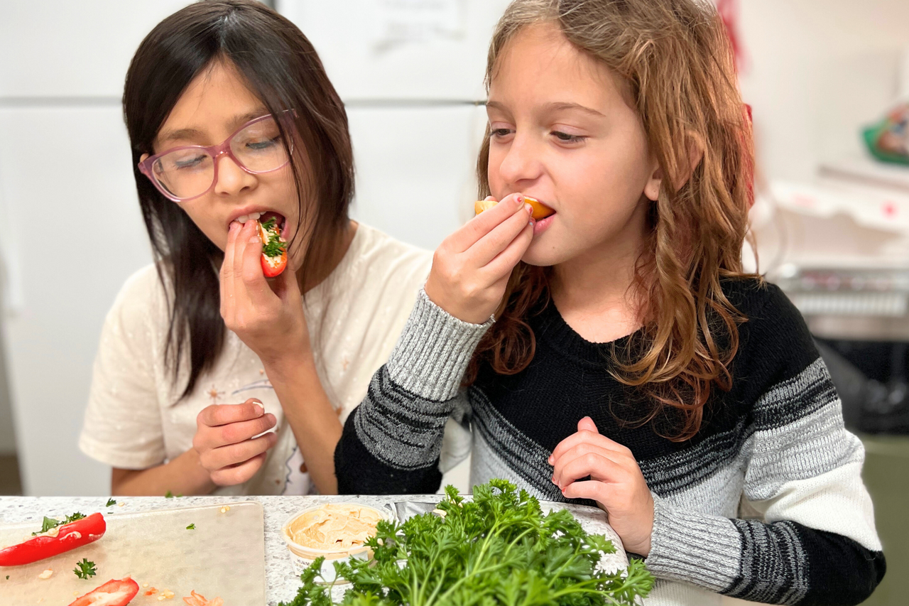 Taster Space Food Explorer Kit - Spring Edition - Desert Spoon Food Hub