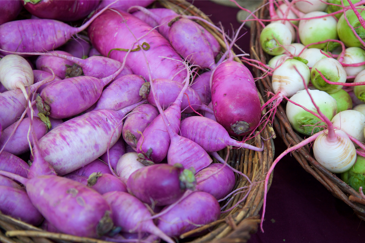 Purple Radish