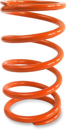 EPI PS-1 Primary Spring - J J Motorsports