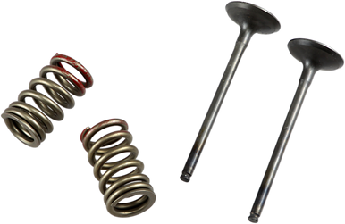 Prox Valve And Spring Kit 28.Ses4335-1 - J J Motorsports