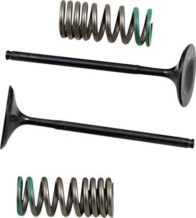 Prox Intake Valve And Spring Kit 28.Sis1340-2 - J J Motorsports