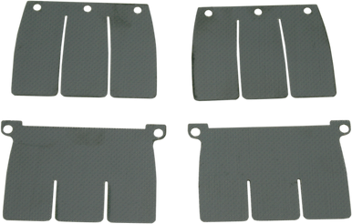 Vforce/Moto Tassinari V-Force Reed Petal Set Dp110-1 - J J Motorsports