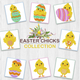 Machine Embroidery Design - Easter Chick Collection of 8