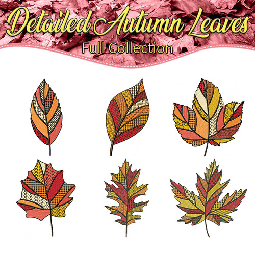 Machine Embroidery Designs - Detailed Autumn Leaves Collection of 6