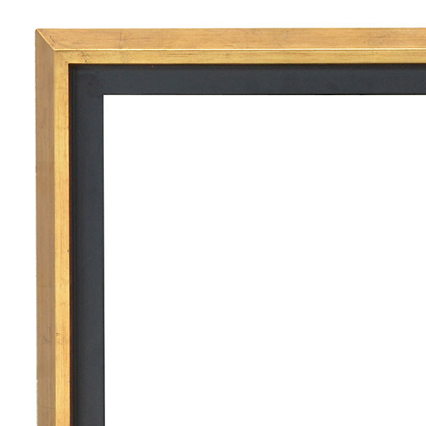 Modern Float Frame Only 12X16 Gold - AFD Home