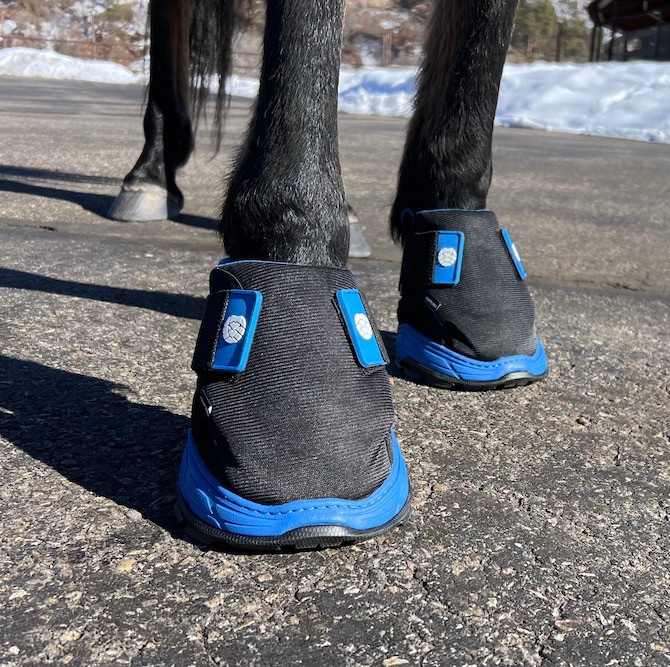 Easyboot RX2 Hoof Therapy Boot (single boot)